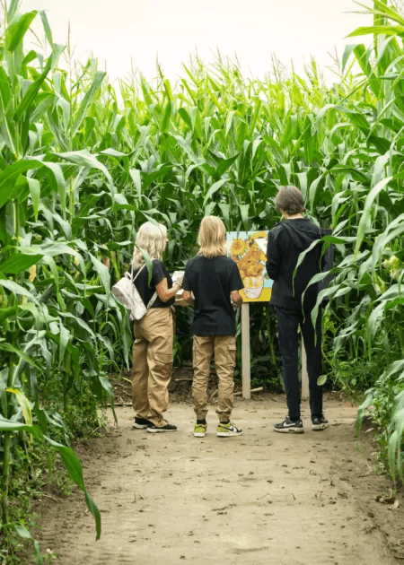 Corn Maze – Ferme Marineau